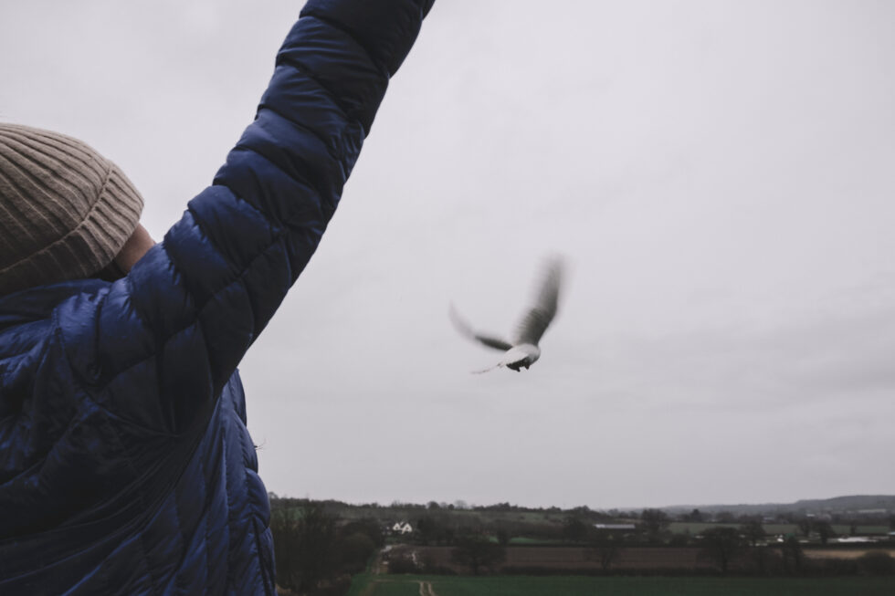 The Healing Power of Dove Release - Wootton Park Wellness